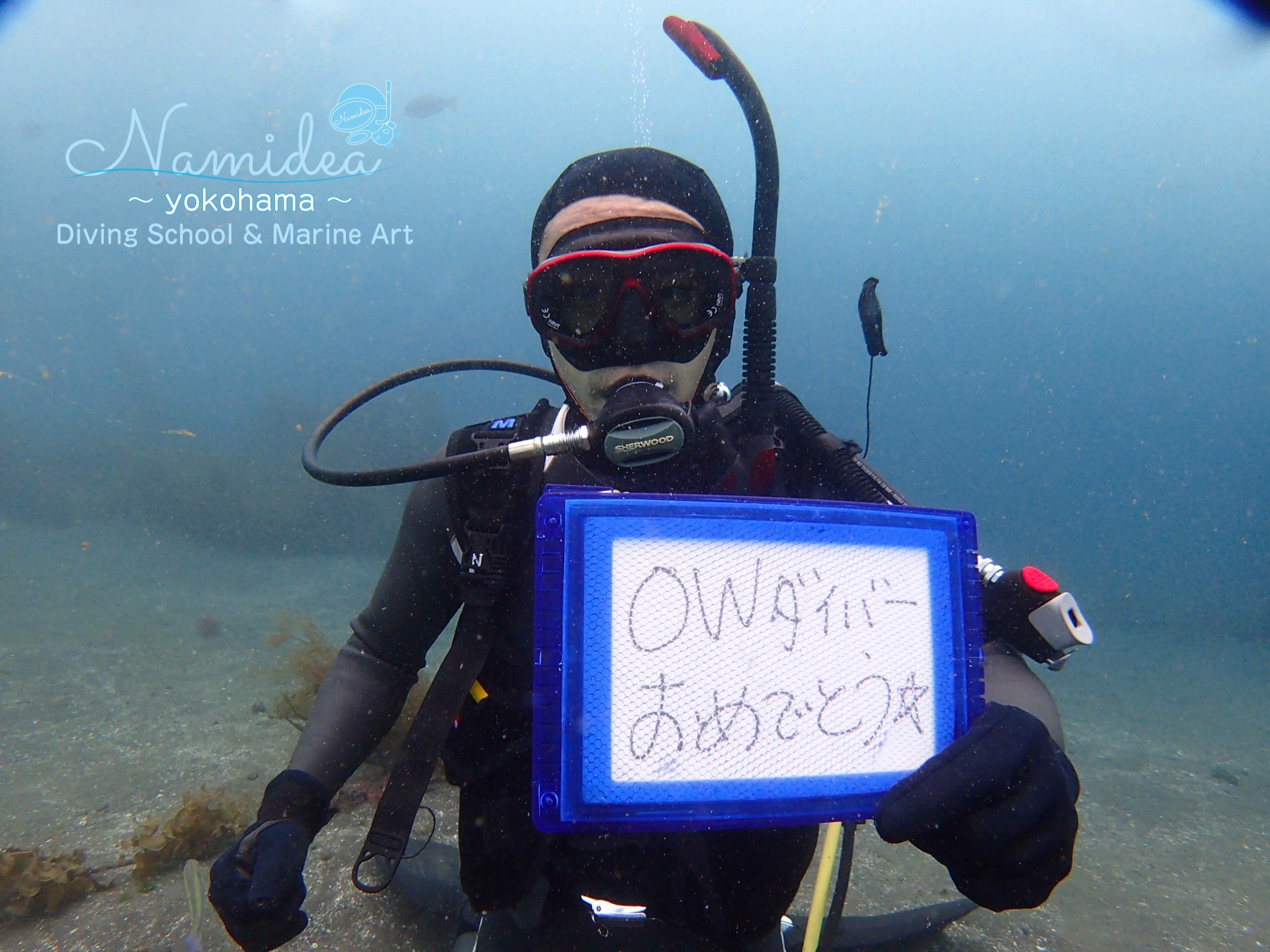 OW講習とAOW講習、リフレッシュツアーにビーチツアーと盛りだくさん！ | 横浜のスキューバダイビングショップ Namidea（ナミディア）