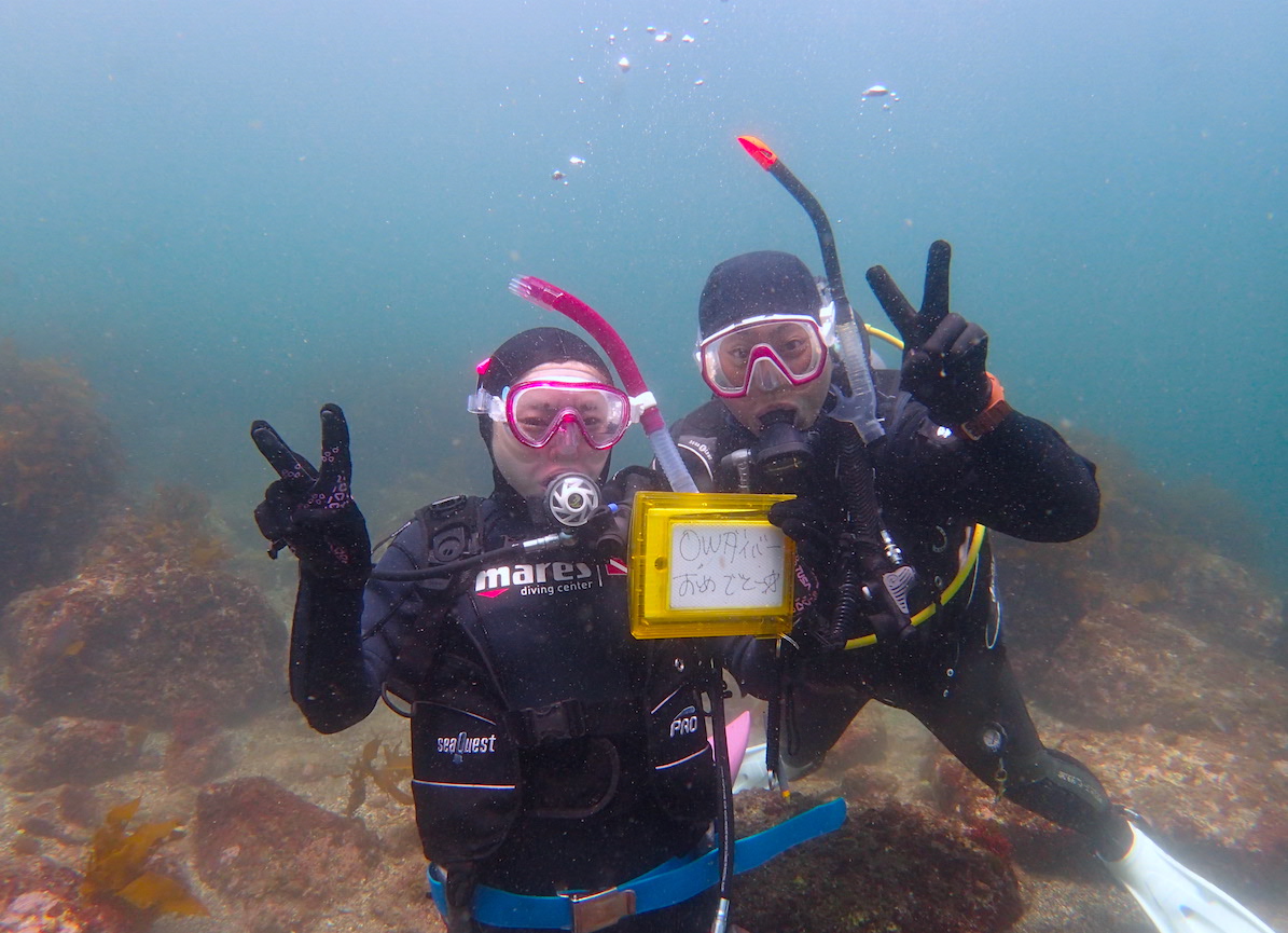 大好きなミアミラウミウシとアオリイカ絶賛産卵中！ | 横浜のダイビングショップ(スクール) Namidea(ナミディア)