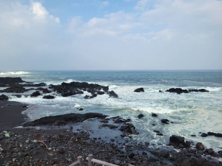 大型客船さるびあ丸で帰って来ました！ | 横浜のダイビングショップ(スクール) Namidea(ナミディア)