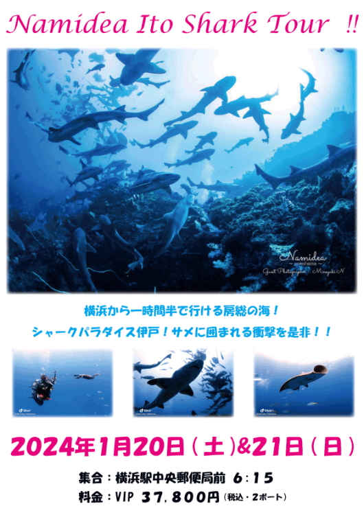 2024年最初のダイバーが誕生しました！ | 横浜のダイビングショップ(スクール) Namidea(ナミディア)