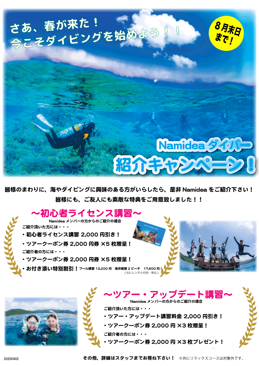 2023年 夏のナミディアダイバー紹介キャンペーン🐠(8/31まで！) | 横浜のスキューバダイビングショップ Namidea（ナミディア）