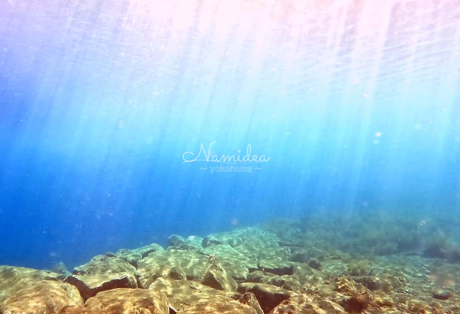 4/19(土) 11時ー19時 通常営業いたします！ | 横浜のダイビングショップ(スクール) Namidea(ナミディア)