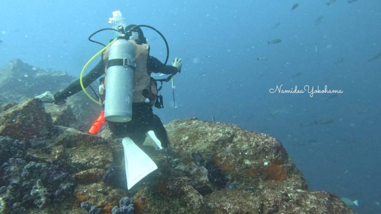 ダイバーとハンマーを一緒に撮ってあげたい！ | 横浜のダイビングショップ(スクール) Namidea(ナミディア)