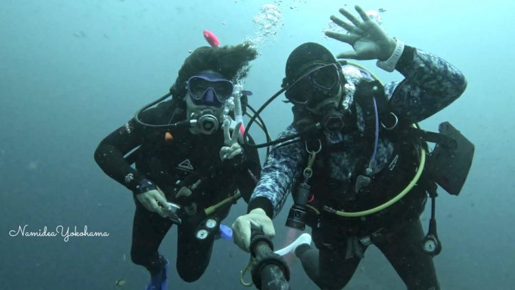 初めて潜る日本の海をご案内！！ | 横浜のダイビングショップ(スクール) Namidea(ナミディア)