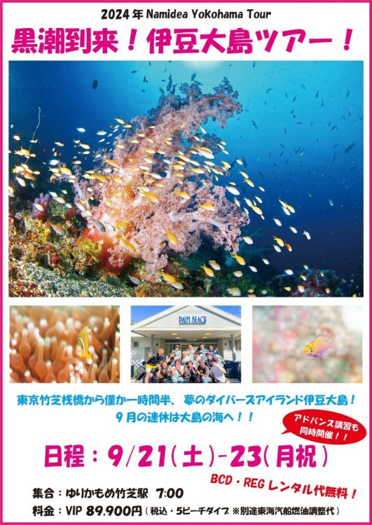 プールと海とまんぷく丼！！ | 横浜のダイビングショップ(スクール) Namidea(ナミディア)